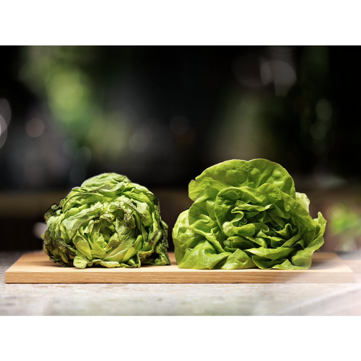 Lodówka do zabudowy ENN2841AOW | Electrolux